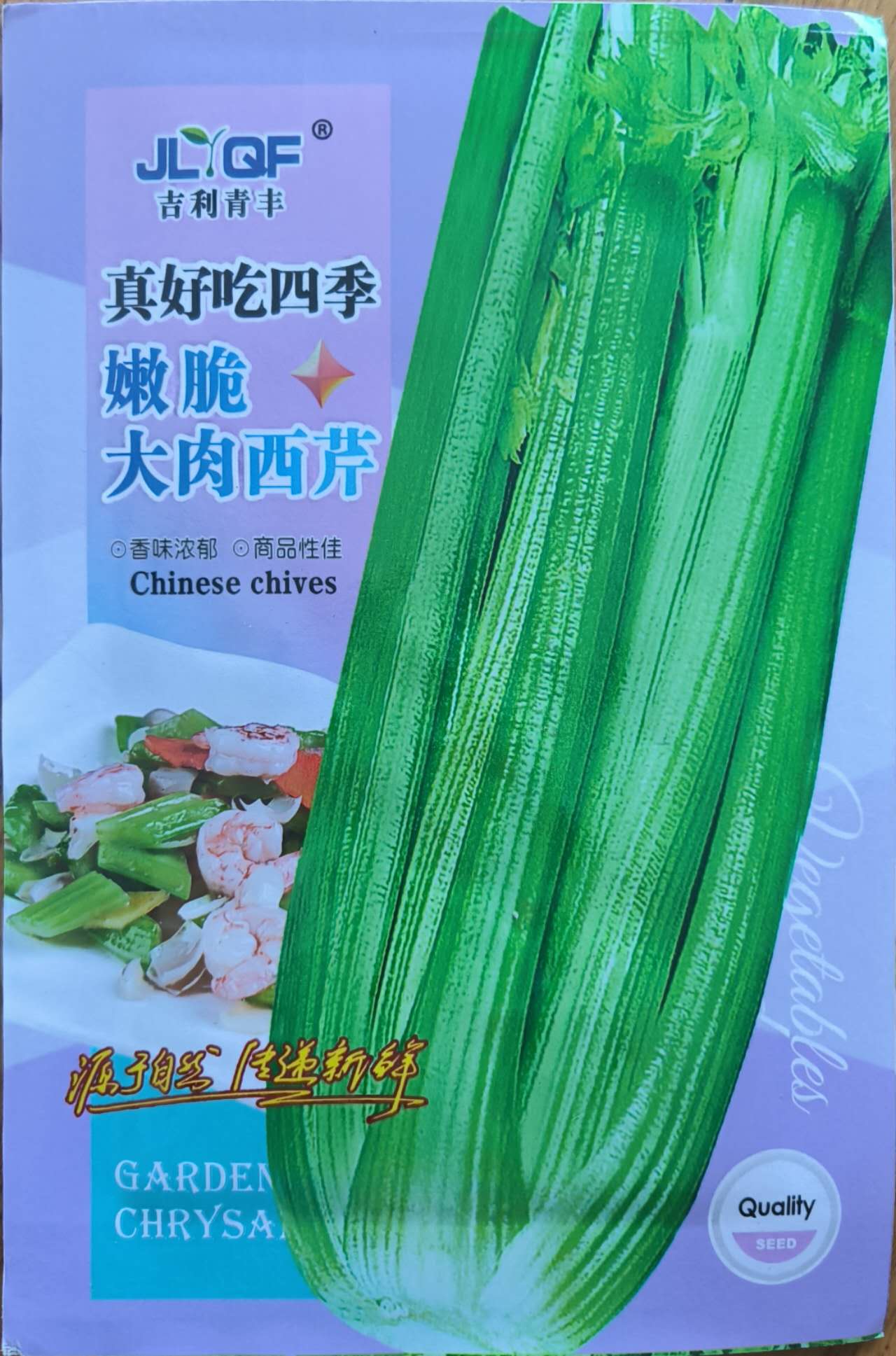 American Celery Herb Vegetable Seeds (3000 seeds) - Basic Farm House