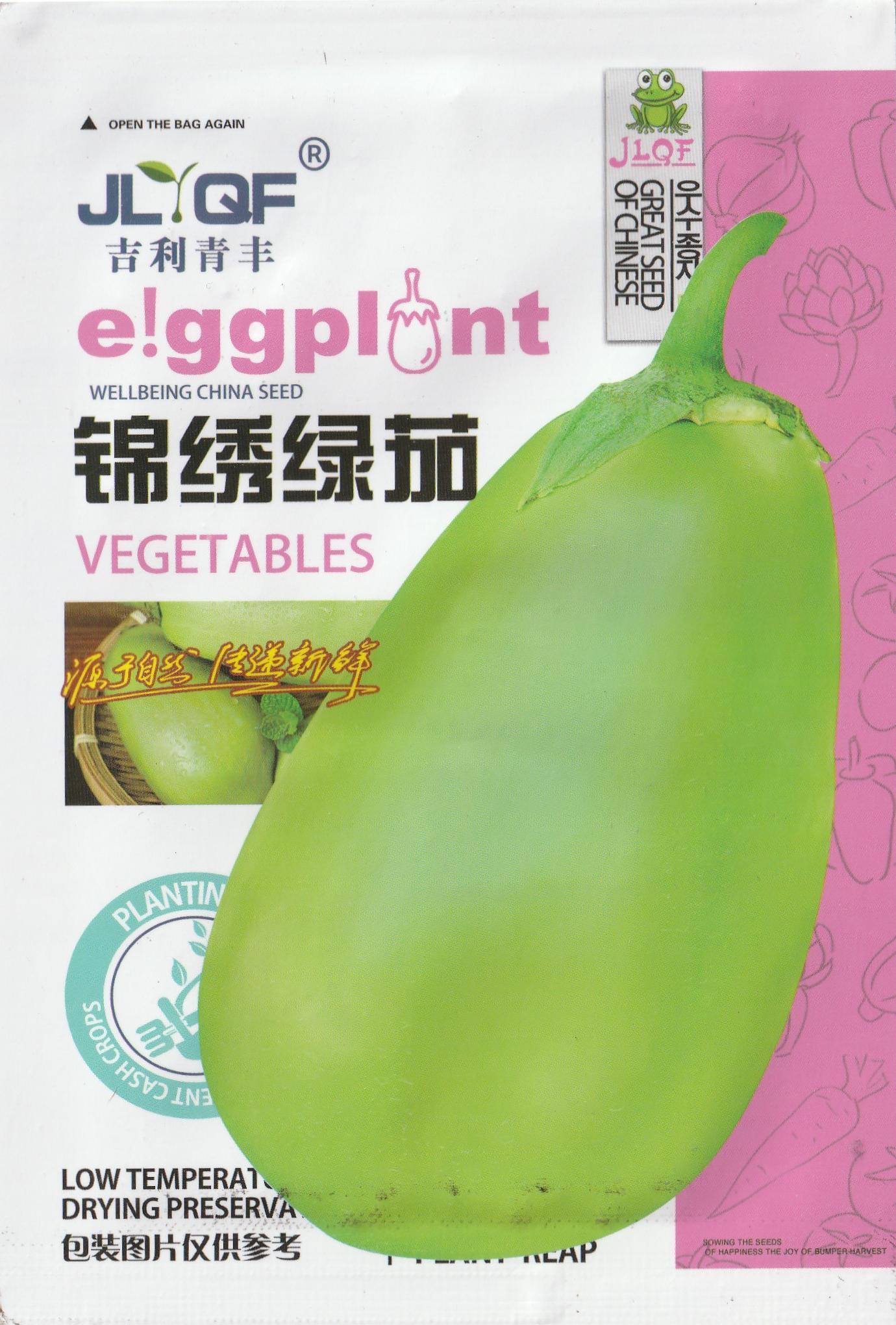 Rare Oval Green Eggplant Vegetable Seeds (300 seeds) - Basic Farm Hous – Basic Farm House