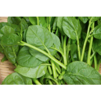 Chinese Big Green Leaf Alugbati Malabar Spinach Variety Vegetable Seed ...